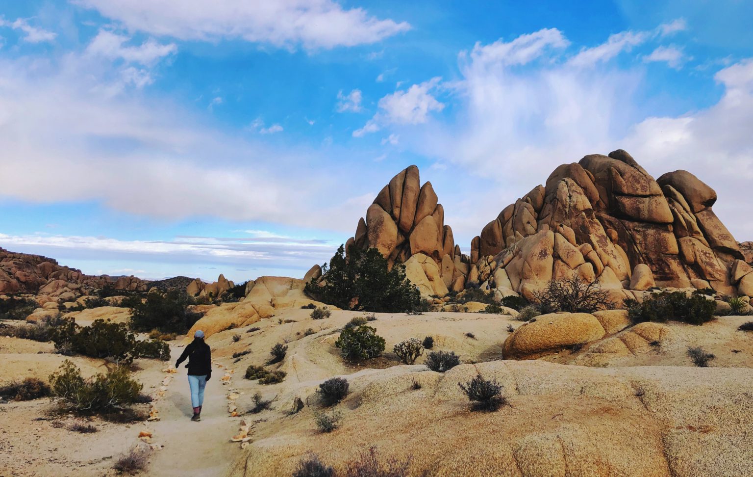 The Perfect 3 Day Joshua Tree Itinerary - Lita of the Pack