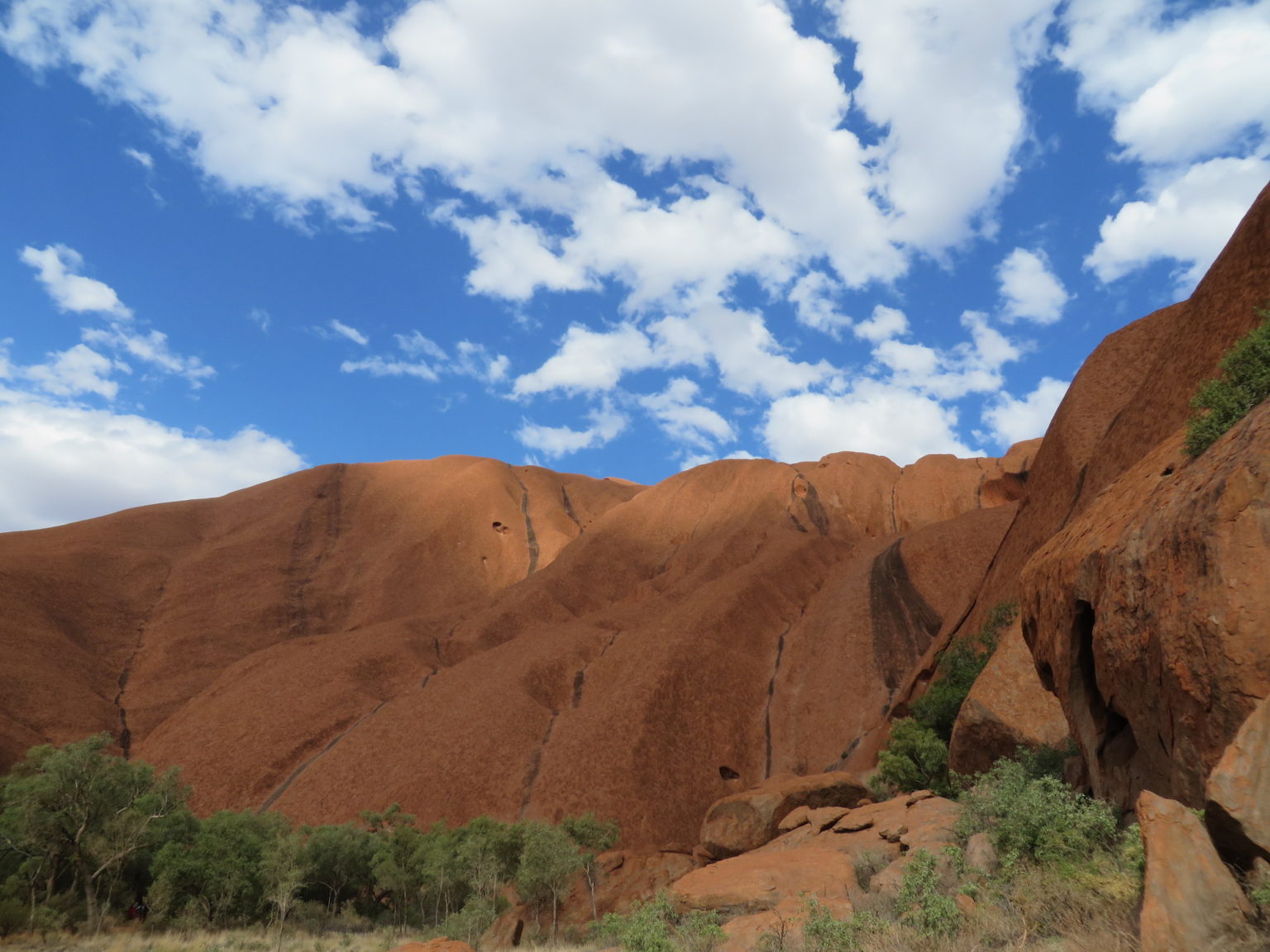 Complete Guide to the Australian Outback - Lita of the Pack