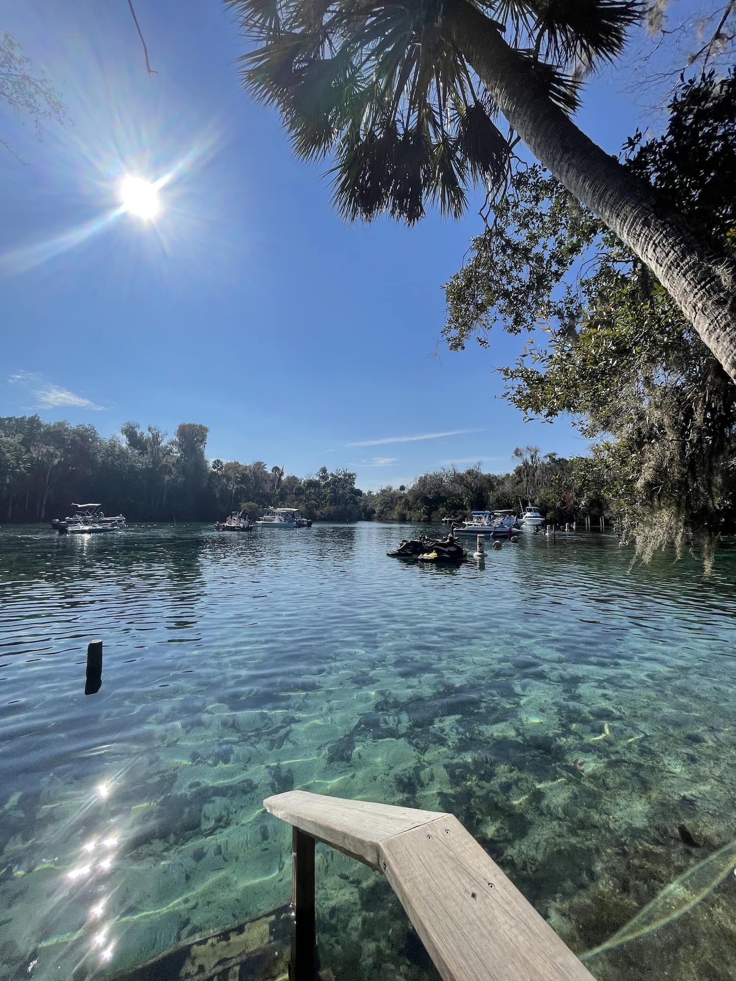 10 of the Best Florida Springs to Visit on Your Next Vacation! - Lita ...