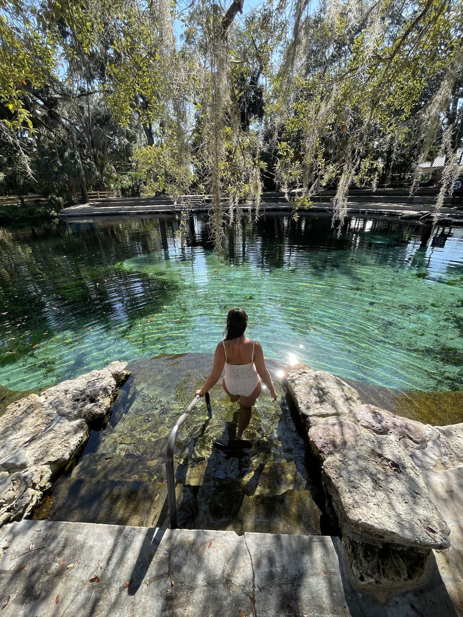 10 of the Best Florida Springs to Visit on Your Next Vacation! - Lita ...