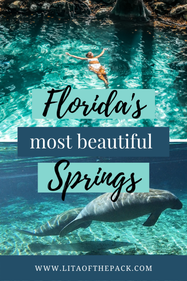 10 of the Best Florida Springs to Visit on Your Next Vacation! - Lita ...