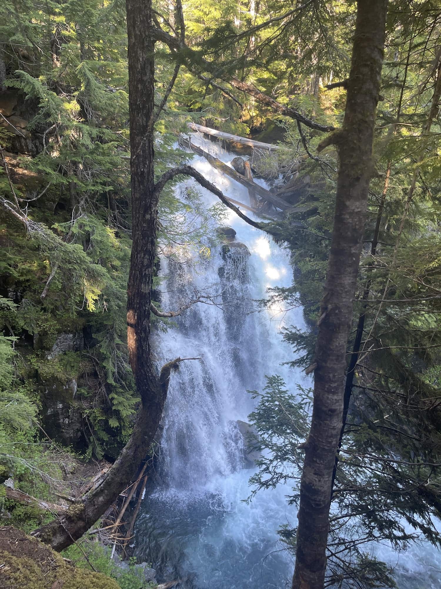 Guide to Visiting Mount Rainier in June - Lita of the Pack