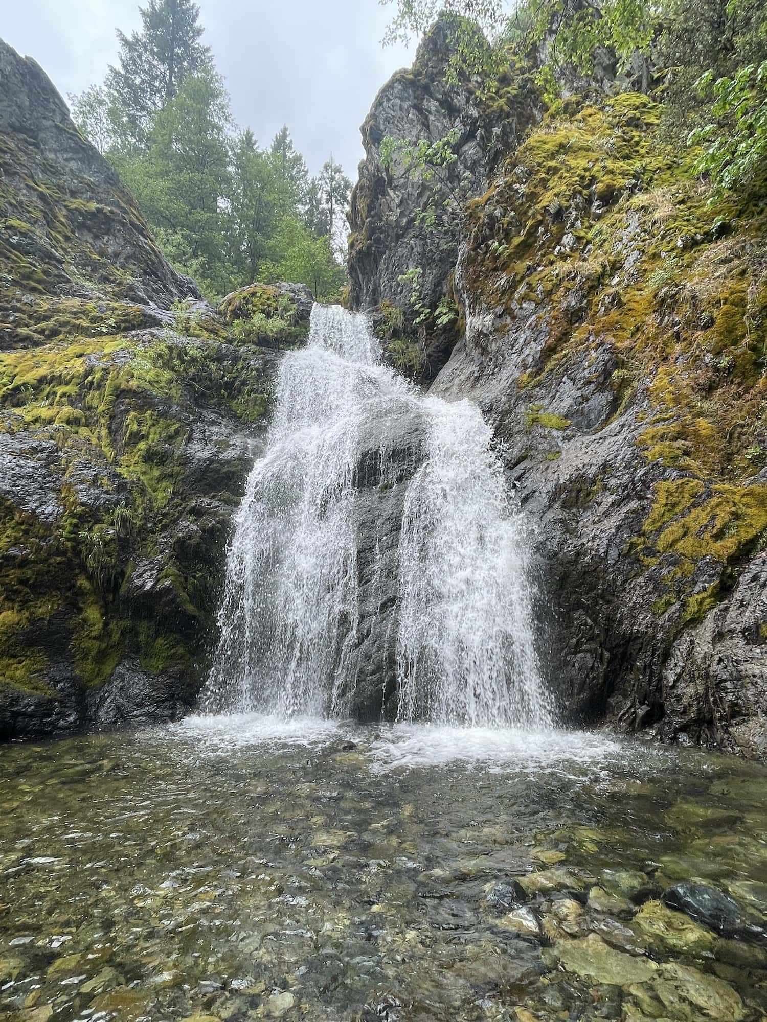 4 Incredible Mount Shasta Waterfalls - Lita of the Pack