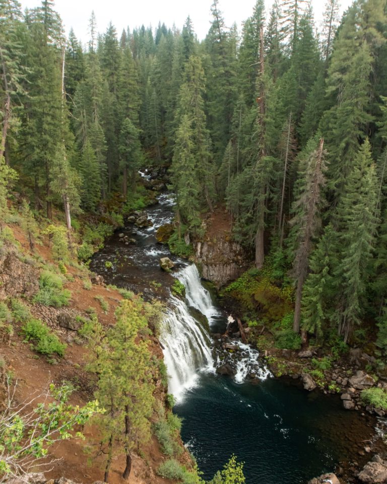 4 Incredible Mount Shasta Waterfalls - Lita of the Pack