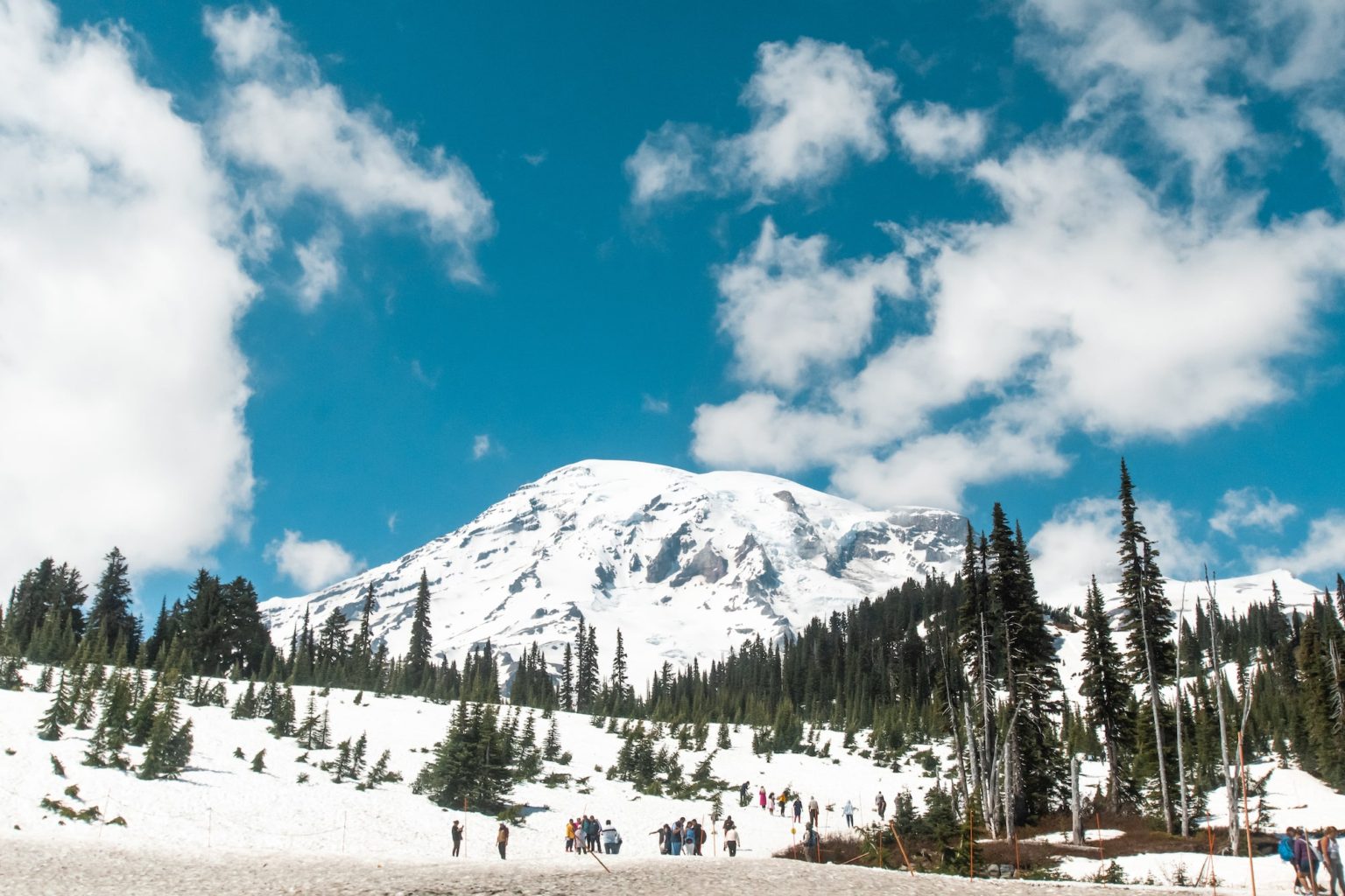 Guide to Visiting Mount Rainier in June - Lita of the Pack