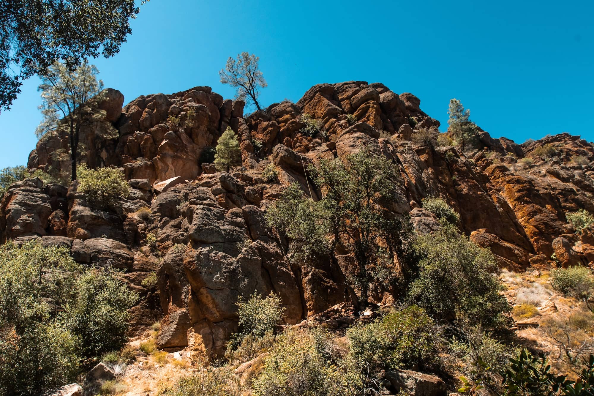 6 Fun Things to Do in Pinnacles National Park - Lita of the Pack