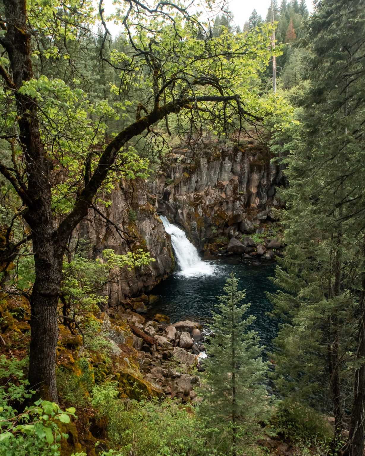 4 Incredible Mount Shasta Waterfalls - Lita of the Pack