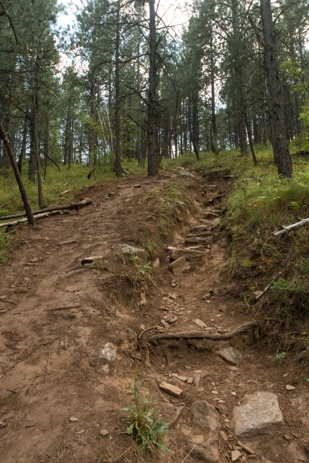 The Best Secluded Swimming in South Dakota: Hippie Hole