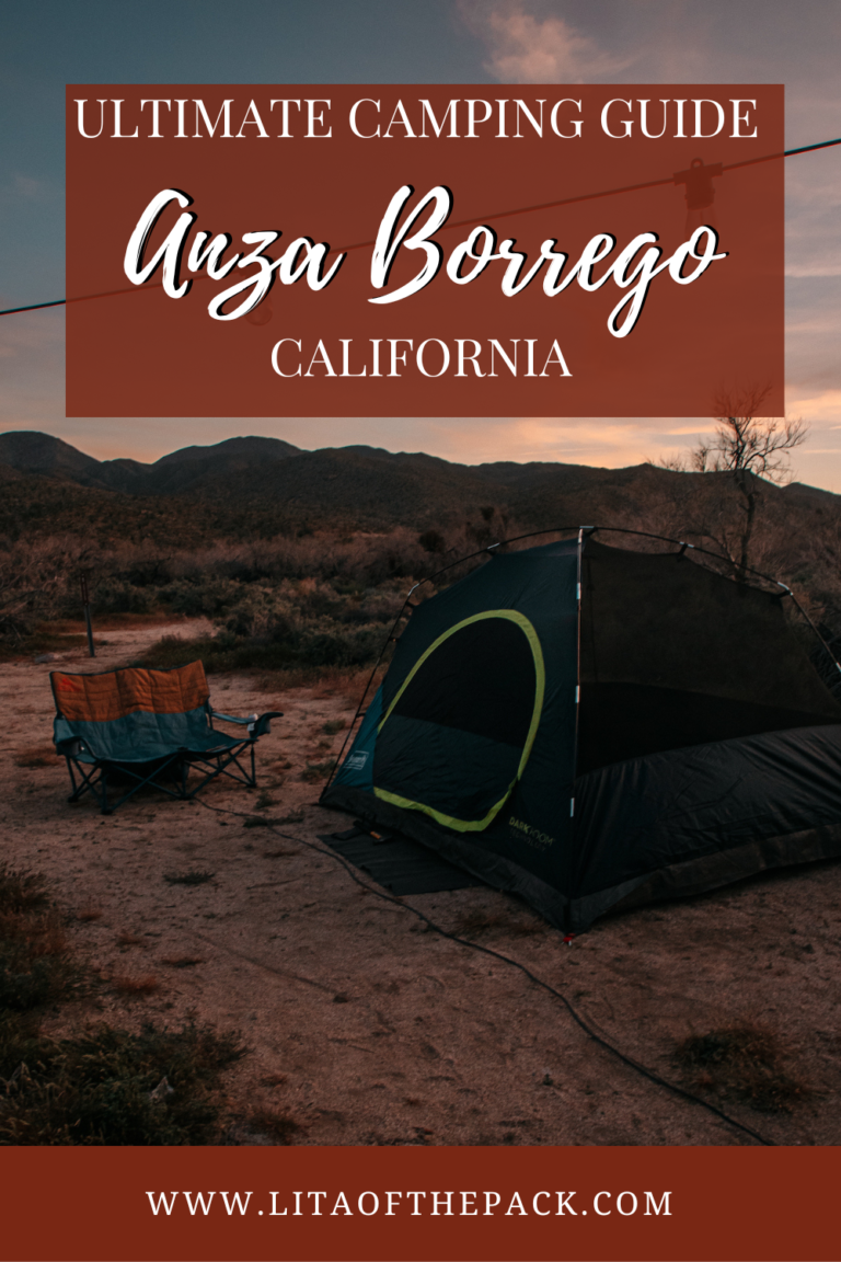 Everything You Need to Know About Camping in Anza Borrego