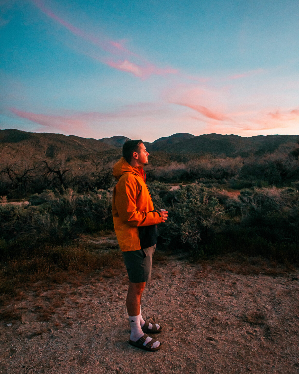 Everything You Need to Know About Camping in Anza Borrego