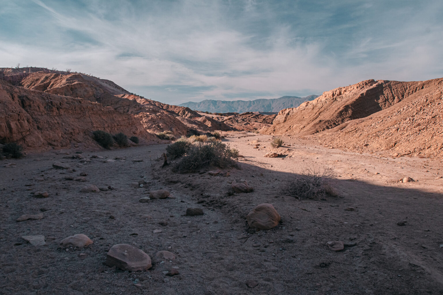 5 Best Things to Do in Anza Borrego - Lita of the Pack