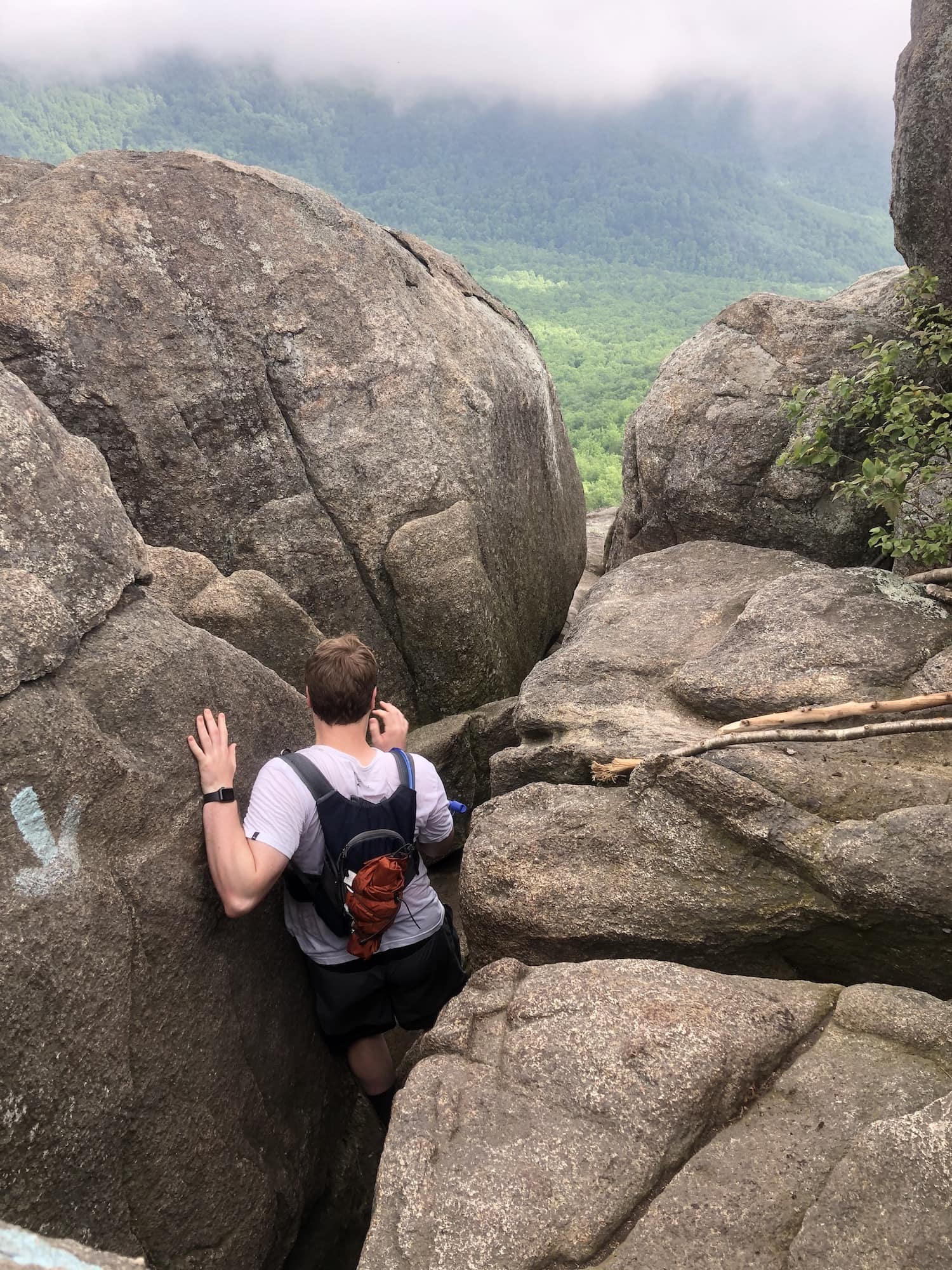 Ultimate Guide to Hiking Old Rag Mountain: Virginia's Best Hike
