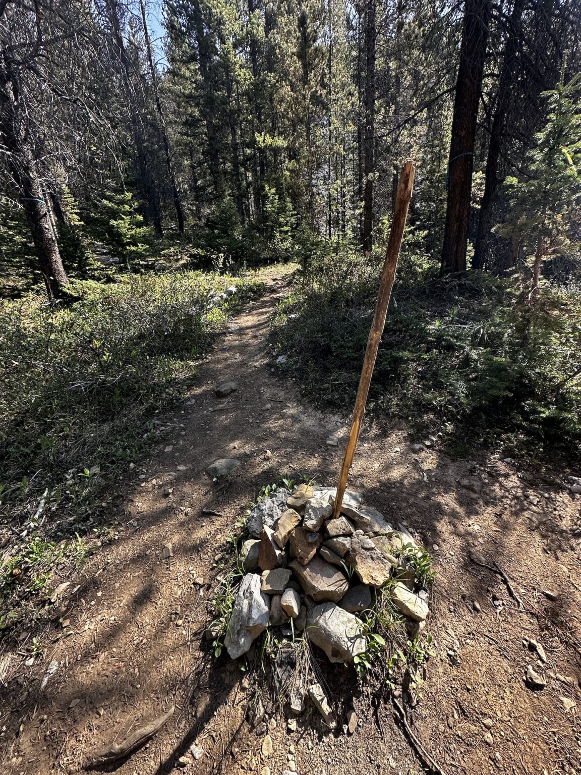 Complete Guide to the Reads Tower Hike - Lita of the Pack