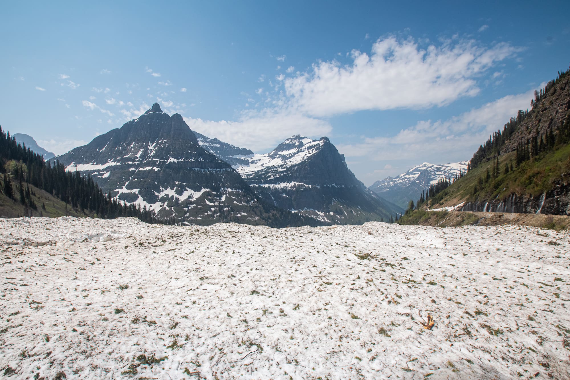 Biking Going to the Sun Road: The Complete Guide