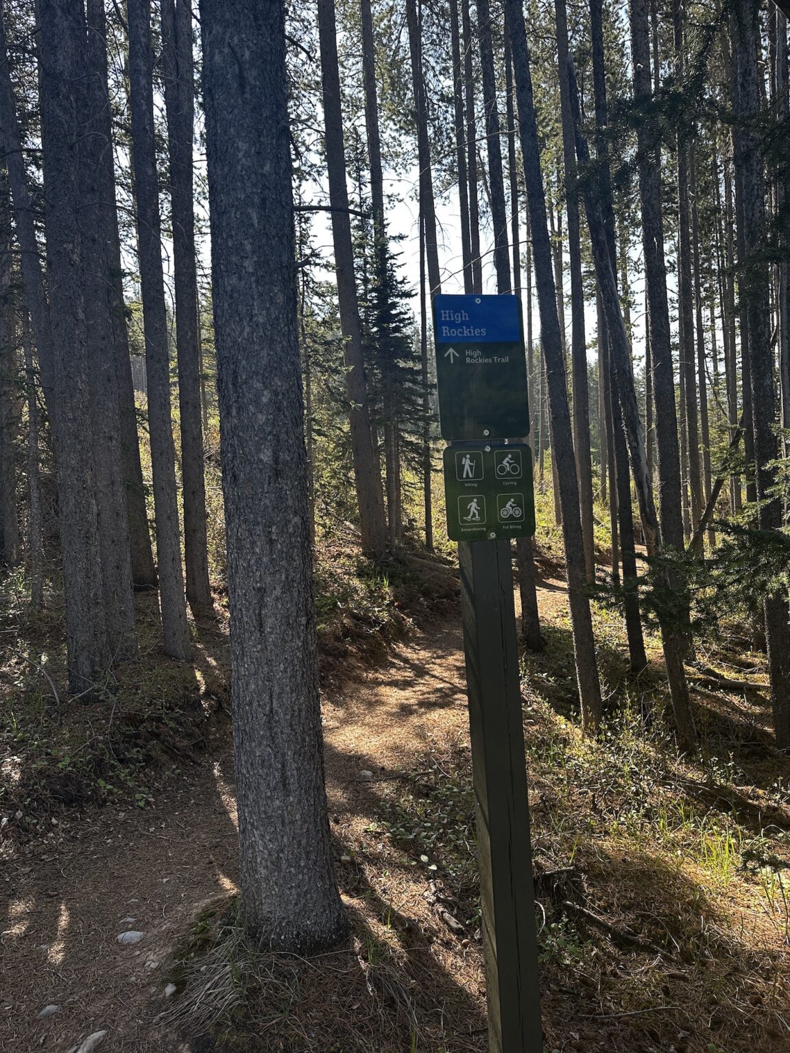Complete Guide to the Reads Tower Hike - Lita of the Pack