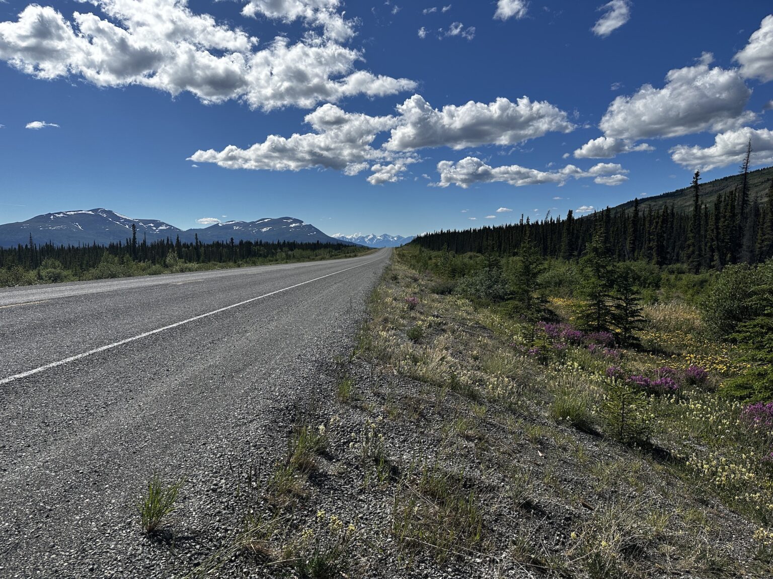 Complete Guide to Driving the Alaska Highway - Lita of the Pack