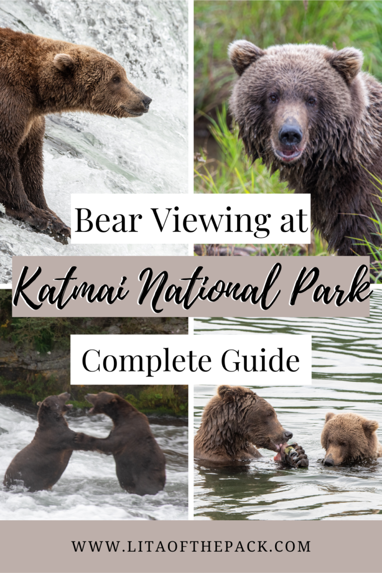 Complete Guide to Visiting Katmai National Park - Lita of the Pack