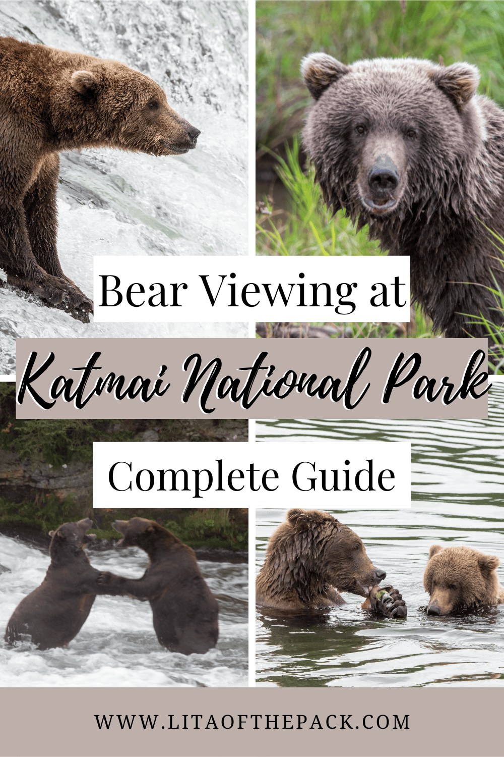 Complete Guide to Visiting Katmai National Park - Lita of the Pack