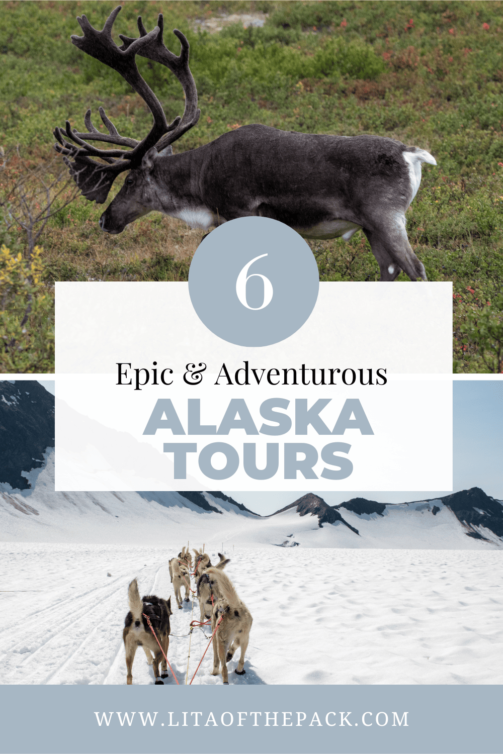 6 of the Best Alaska Excursions - Lita of the Pack