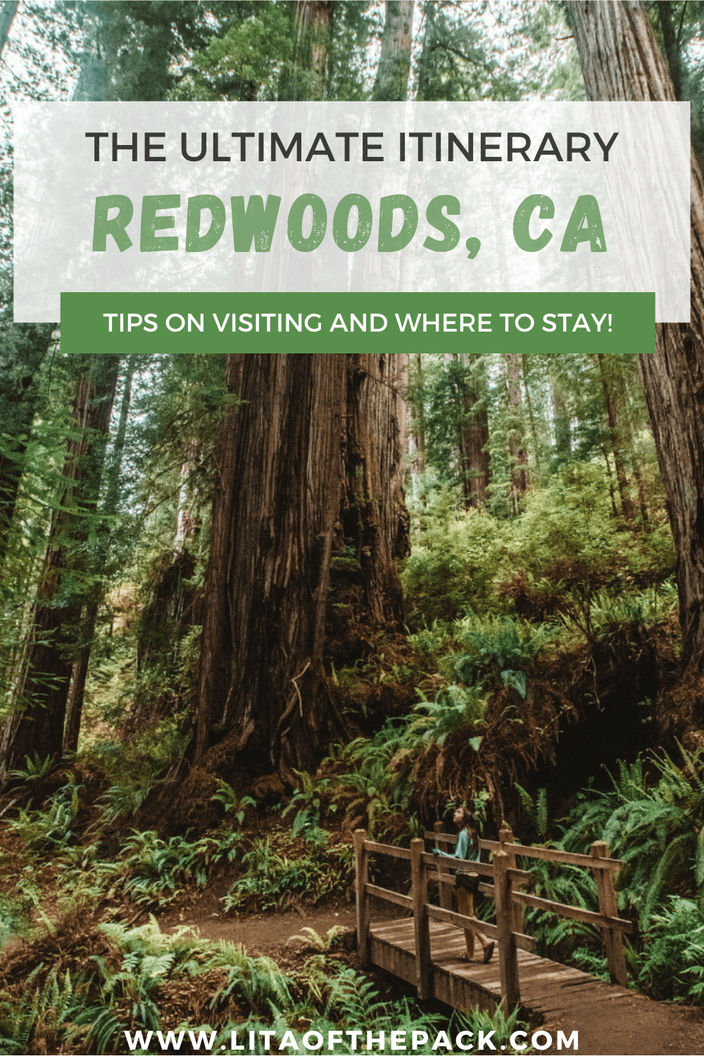 The Perfect Redwood National Park Itinerary - Lita of the Pack