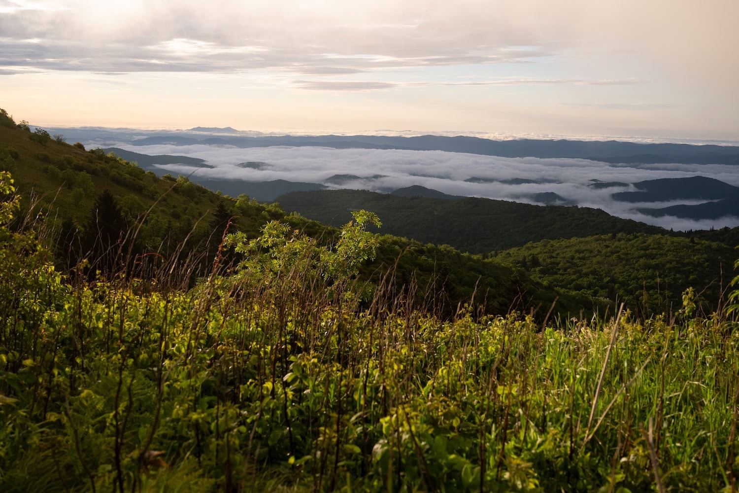 Black Balsam Knob Trail Guide: One of the Best Blue Ridge Hikes - Lita ...