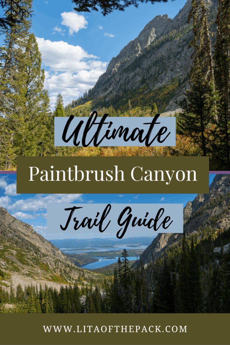 Grand Teton's Most Underrated Hike: Paintbrush Canyon Guide - Lita of ...