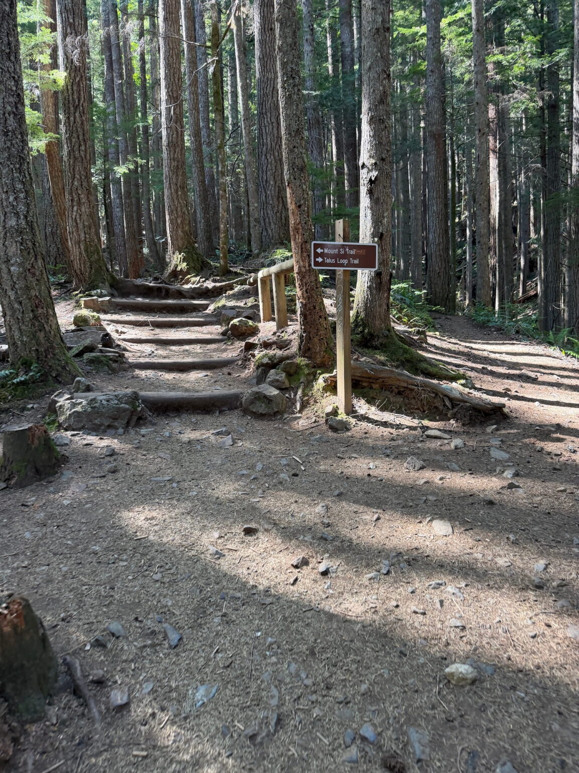 Mount Si Hike Guide: A Popular But Worthy Trail!